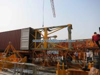 China QTZ250 Cat Head Tower Crane 70m Jib 12t Max Load for High Rise Building for sale