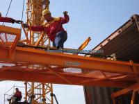 China Small Tower Crane TC3508 2.5T Max.Load 35m Jib Boom Mini Crane for sale