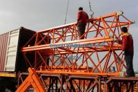 China QTZ5015 Tower Crane 50m Jib 1.5t Tip Load 380V 60Hz Power Supply Fixed Mast for sale