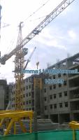 China qtz250-7030 Tower Crane Construction Building Tools 16TONS Load for sale
