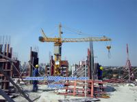China QT10 Inner Climbing Tower Crane 0.7t Load Capacity 10m Height 440V Industrial Construction Equipment for sale
