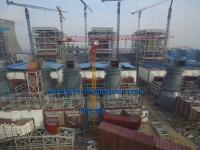 China Big 20t Load Flat Top Tower Crane PT7532 Model Cat Head Type for sale
