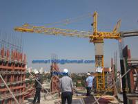 China QT10 Mini Inner Climbing Tower Crane 12m Boom Length 500kg Load Capacity 60m Lifting Height for sale