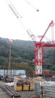 China Mini D2520 3 Tons Luffing Tower Crane Design For South Korean for sale