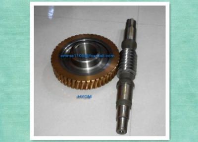 China Building Construction Hoist Elevator Metal Parts Reducer Worm and Gear for sale