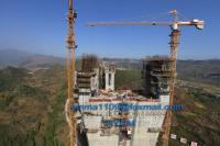 China Good TC7032 12T Topkit Tower Crane 70m Boom 3m Mast Section for sale