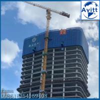 China QTZ50 (PT5010) 4 Ton Flat Top Tower Crane with 50m Jib and 120m Height for Construction for sale