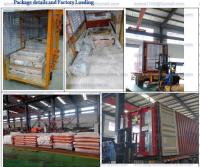 China OEM 4000kg Construction Passenger Elevator with SRIBS Anti-fall Safety Device for sale