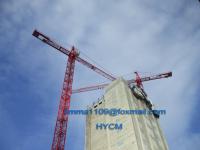 China 10 ton 65m Boom Tower Crane Construction Building Self Erecting Hammer Head Type for sale