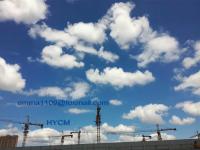 China QTZ63 TC5610 Topkit Tower Crane 6T Capacity 56m Jib 40m Free Standing Height for sale