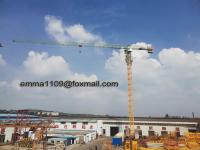 China Topless Tower Crane PT6013 6t 60m Jib HYCM Huiyou Green Eco-Friendly for sale