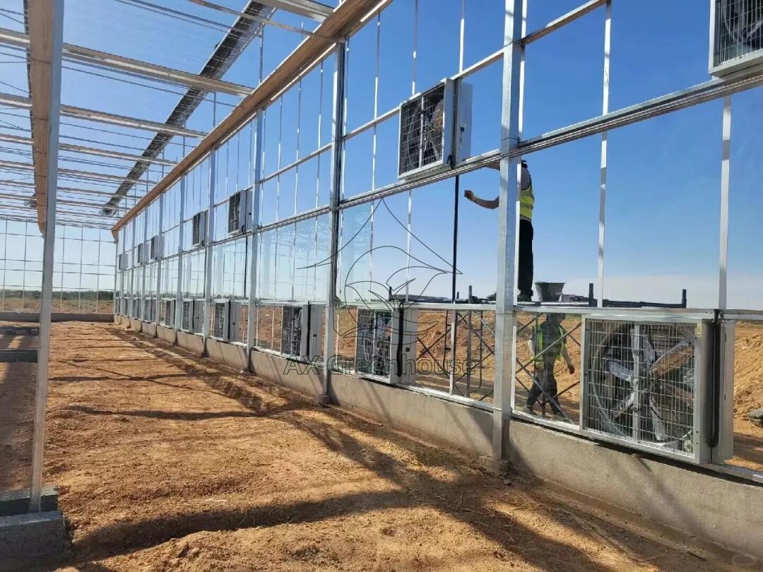 glass greenhouse