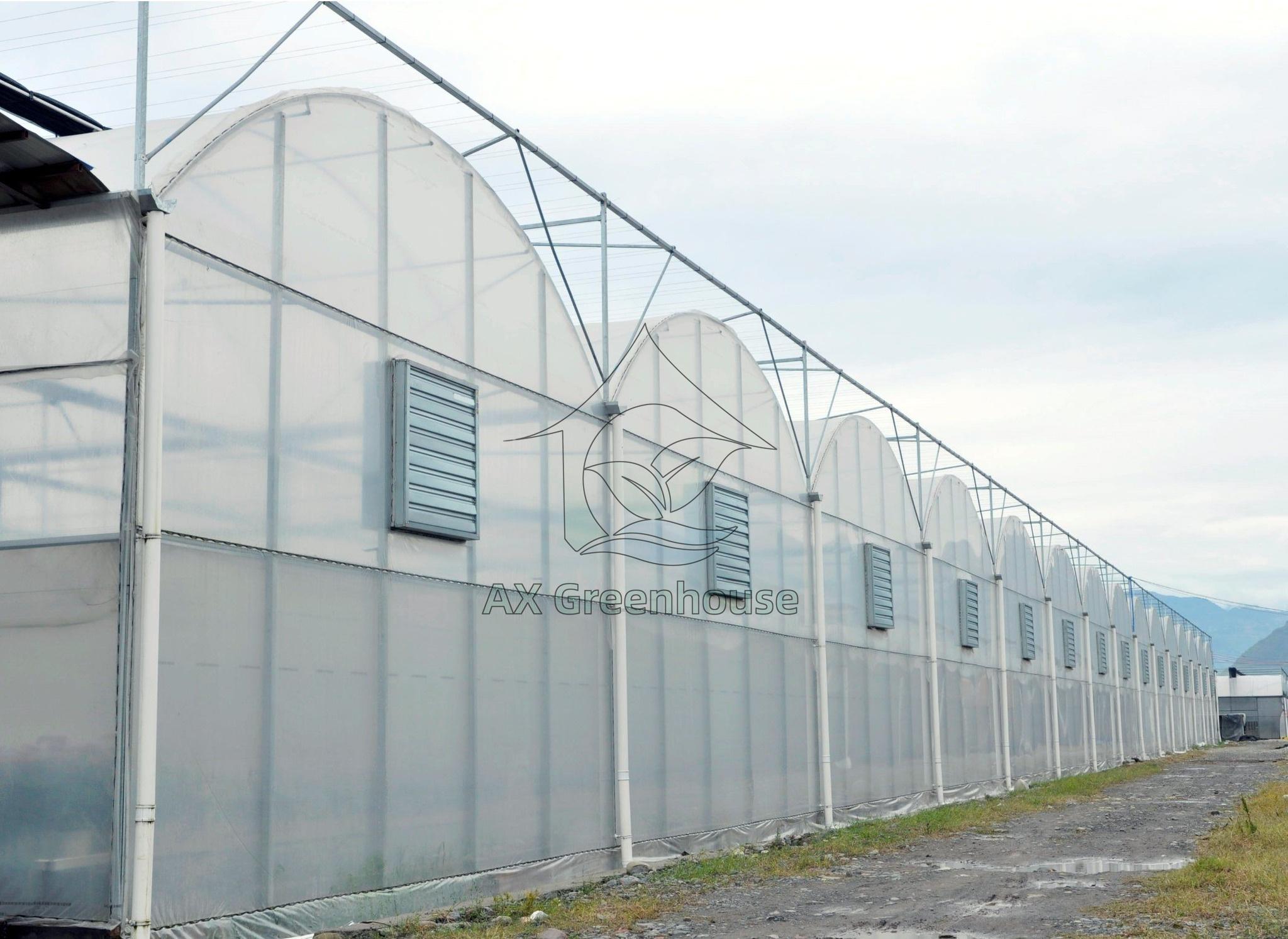 mulit-span film greenhouse