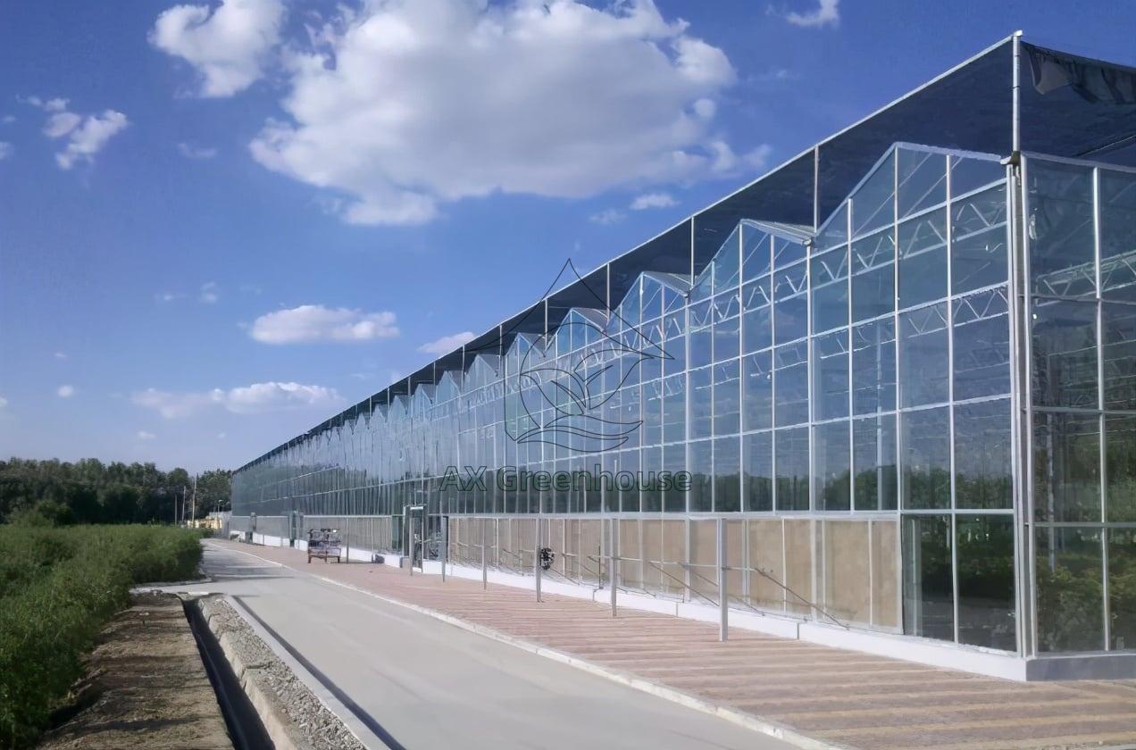 Venlon glass greenhouse
