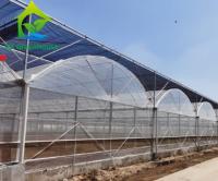 China Multi Span Cucumber Plants Greenhouse PO Film 20m 100m Length for sale