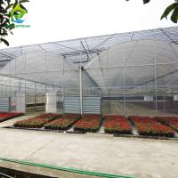 China Strawberry Tomato Cucumber Growing Plastic Film Greenhouse For Commercial for sale