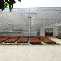 China Strawberry Tomato Cucumber Growing Plastic Film Greenhouse For Commercial for sale