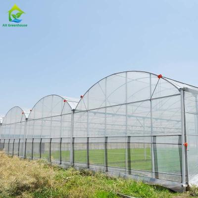 China Commercial Plastic Multi Span Agricultural PO Film Greenhouse Accessories for sale