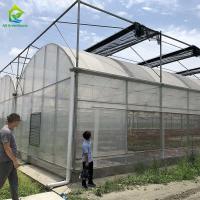 China Hot Galvanized Steel Plastic Film Greenhouse For Agricultural for sale