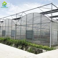 China Hot Galvanized Steel Plastic Film Greenhouse For Agricultural for sale