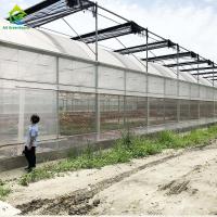 China Hot Galvanized Steel Plastic Film Greenhouse For Agricultural for sale