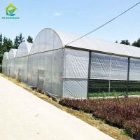 China Agricultural Commercial Industrial Plastic Film Greenhouse With Complete Systems for sale