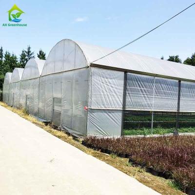China Agricultural Commercial Industrial Plastic Film Greenhouse With Complete Systems for sale
