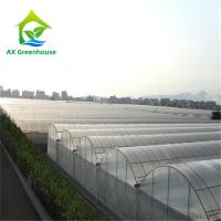 China Agricultural Commercial Industrial Plastic Film Greenhouse With Complete Systems for sale