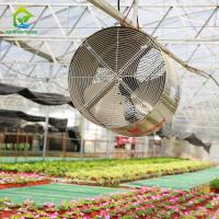 China Agricultural Commercial Industrial Plastic Film Greenhouse With Complete Systems for sale