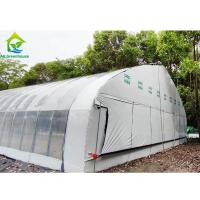 China Auto Blackout Light Dep Greenhouse With Electric Film Rolling Tunnel Greenhouse for sale
