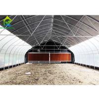China Auto Blackout Light Dep Greenhouse With Electric Film Rolling Tunnel Greenhouse for sale