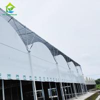 China Multi Sapn Balckout Light Deprivation Greenhouse For Mushroom Growing for sale
