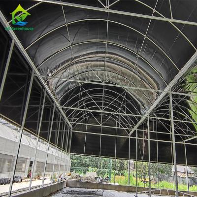 China Multi Sapn Balckout Light Deprivation Greenhouse For Mushroom Growing for sale