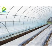 China Plastic PE Film Wind Resistant Poly Tunnel Tomato Greenhouse For Sale for sale