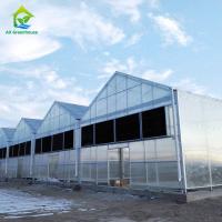 China Polycarbonate Sheet Cover Light Deprivation Greenhouse For Commercial Growing Hemp for sale