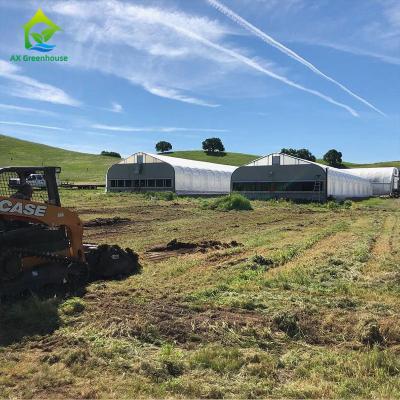 China Full Automatic Blackout Light Deprivation Greenhouse For Medical Plants Growing for sale