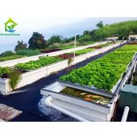 China Tunnel Tomato Cooling System Multi Span Greenhouse Agriculture Commercial for sale