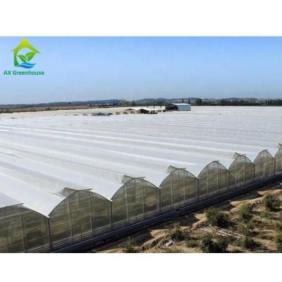 China Tunnel Tomato Cooling System Multi Span Greenhouse Agriculture Commercial for sale
