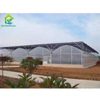 China High Efficiency Agricultural Multi Span Greenhouse 200micro PE Film Covered for sale