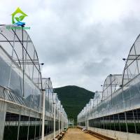 China Plastic Sheet Hydroponic Greenhouse Systems Multi Span for sale