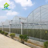 China Plastic Sheet Hydroponic Greenhouse Systems Multi Span for sale