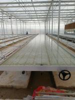 China Ebb And Flow Greenhouse Rolling Bench For Seeding Vertical Grow for sale