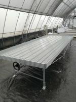 China Greenhouse Ebb Flow Seedling Rolling Bench Grow Tables For Growing Various Plant Types for sale