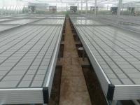 China Grow Table Flood Tray Rolling Ebb And Flow Bench For Flower Greenhouse Seedling for sale