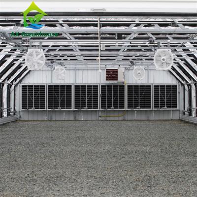 China OEM 100% Dark Out Blackout Greenhouse with Hot Dip Galvanized Steel Structure and Customizable Size for sale