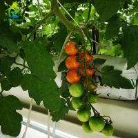 China Customized Soilless Gardening Systems Vertical Hydroponic Farming Equipment for sale