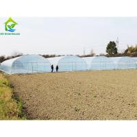 China Agricultural Polytunnel Commercial Hydroponic Greenhouse For Mushroom Cultivation for sale