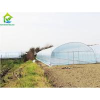 China Agricultural Polytunnel Commercial Hydroponic Greenhouse For Mushroom Cultivation for sale