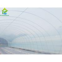 China Agricultural Polytunnel Commercial Hydroponic Greenhouse For Mushroom Cultivation for sale