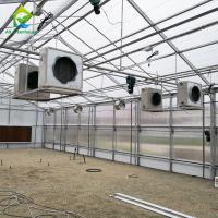 China PE Film 220V Auto Light Deprivation Greenhouse 100% Blackout High Tunnel Greenhouse for planting Mariguana for sale